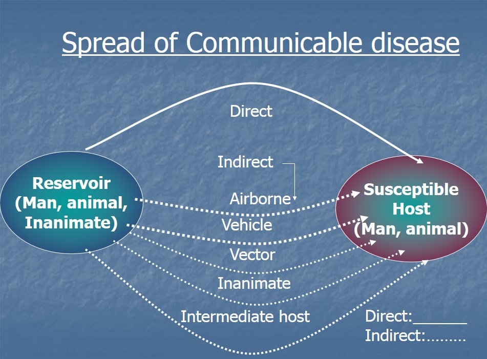 Communicable Diseases Lisbon Portugal Europe USA Asia Pacific 